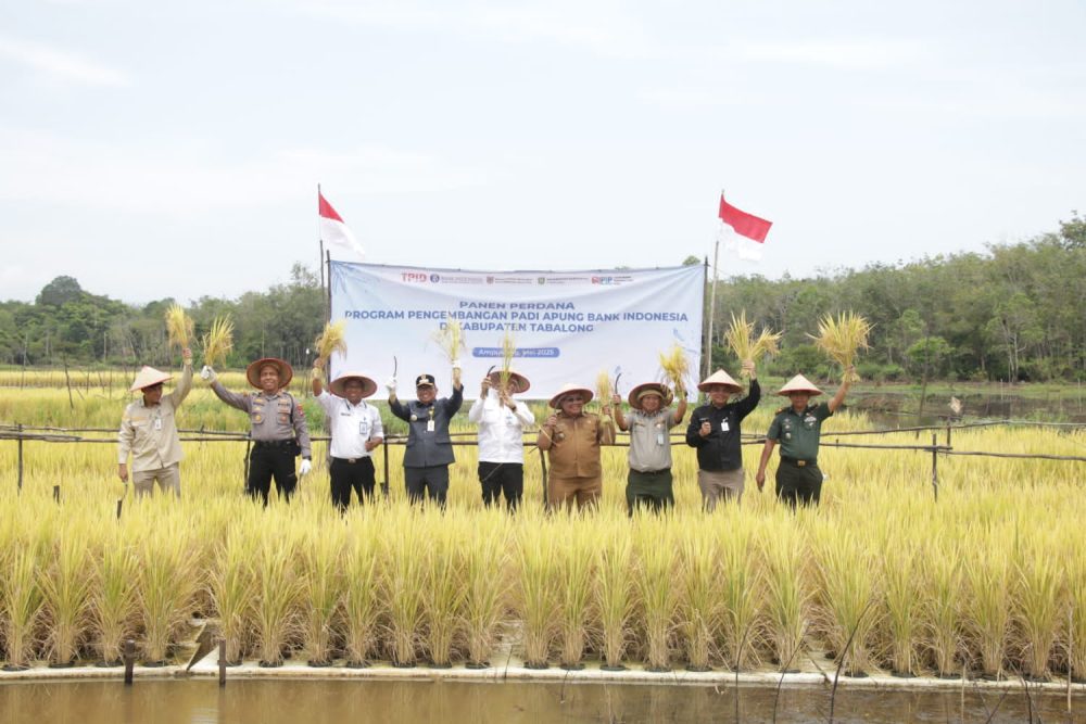 Panen Padi Apung di Tabalong, Inovasi di Atas Air untuk Ketahanan Pangan Kalsel - WARTANIAGA